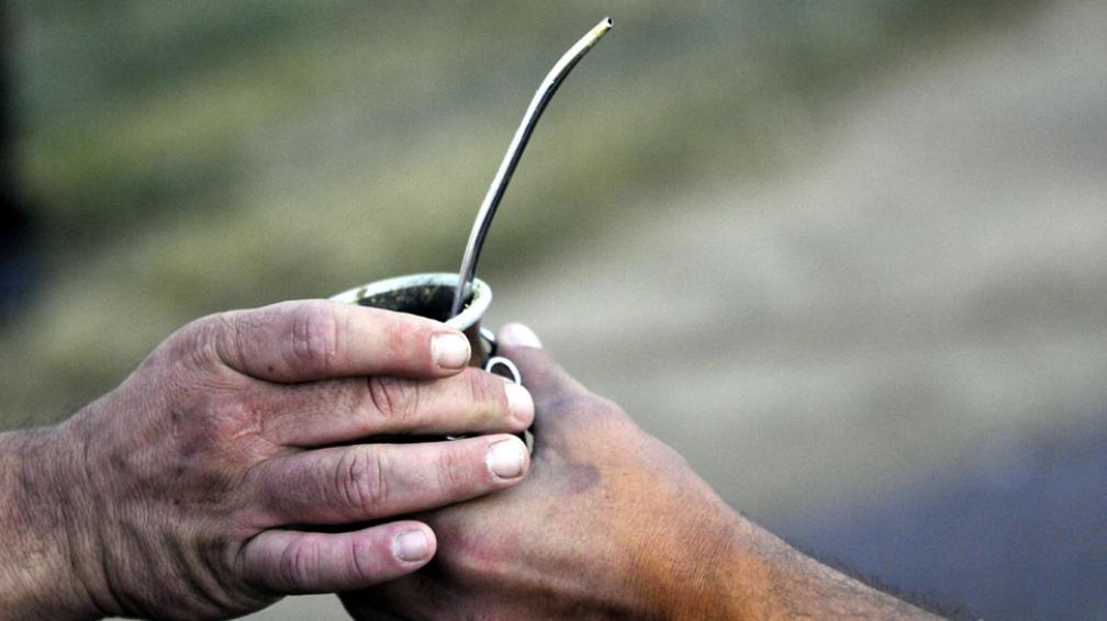 Los beneficios que no conocías de tomar mate - Mendoza Post