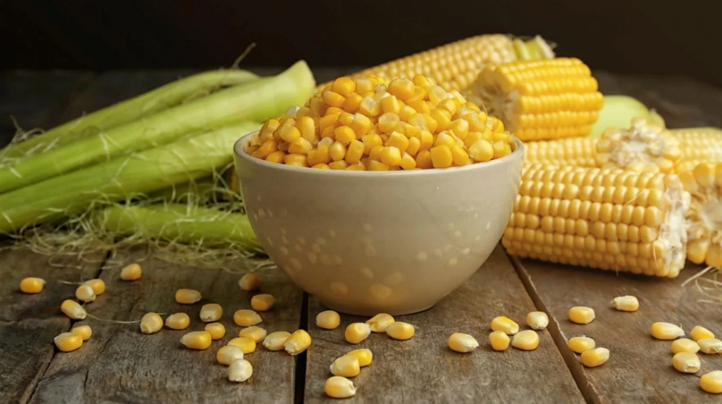 Aprovecha la temporada de choclos con estas recetas - Mendoza Post