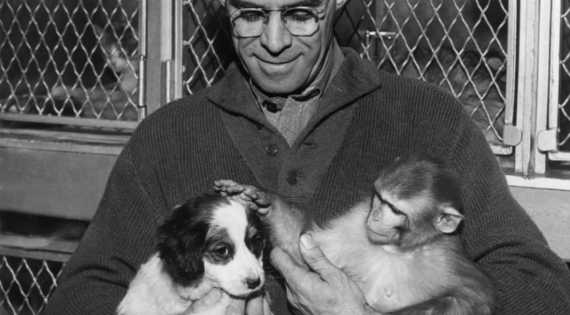 Cuando los niños no tenían derechos, la salvaron protectores de ...