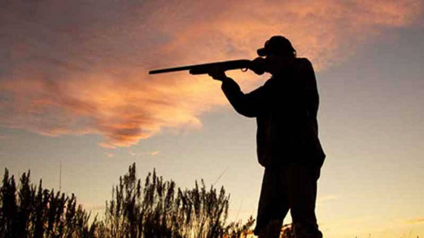 Habilitan la caza de "animales exóticos" en campos privados de Mendoza ...