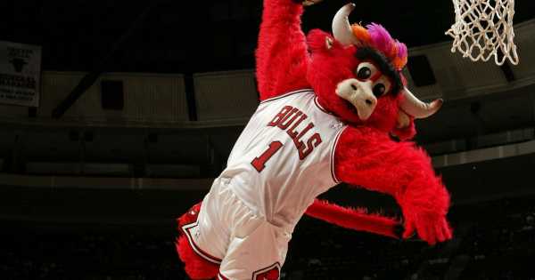 Imperdible: así se siente ser mascota en la NBA - Mendoza Post