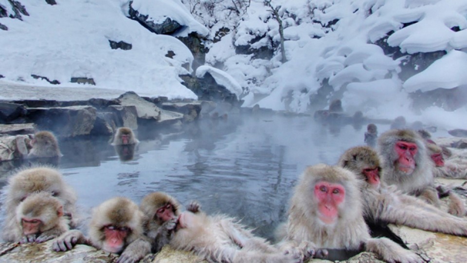 Estos son los lugares más exóticos del mundo - Mendoza Post
