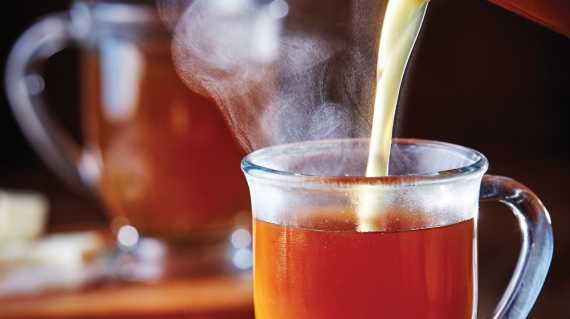 Té de palta: estos son sus numerosos beneficios - Mendoza Post