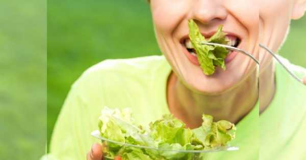 Comprobado: estos beneficios para el cuerpo tiene comer lechuga ...