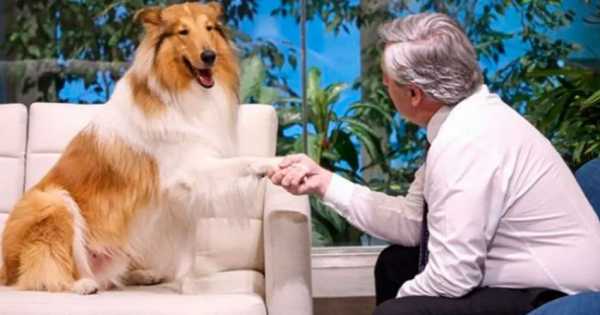 Fabiola denunció que la community manager de Dylan era amante de ...