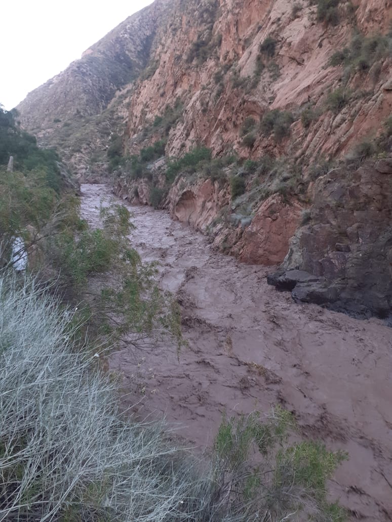 Impresionantes videos: así limpian el fondo del Dique Potrerillos ...