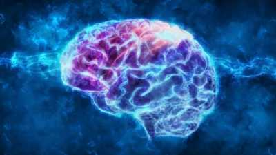 ¿Cuáles son las vitaminas para un cerebro fuerte y saludable? - Mendoza ...