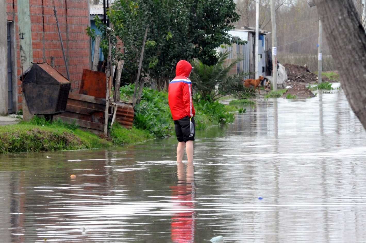 Qué es y cómo actuar ante una emergencia climática - Mendoza Post