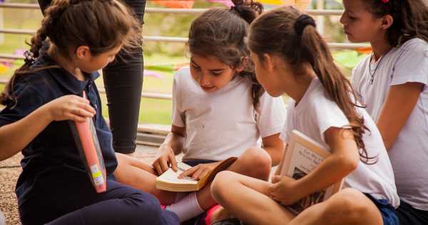 El Gobierno censará si los chicos de 3er y 6to grado saben leer ...