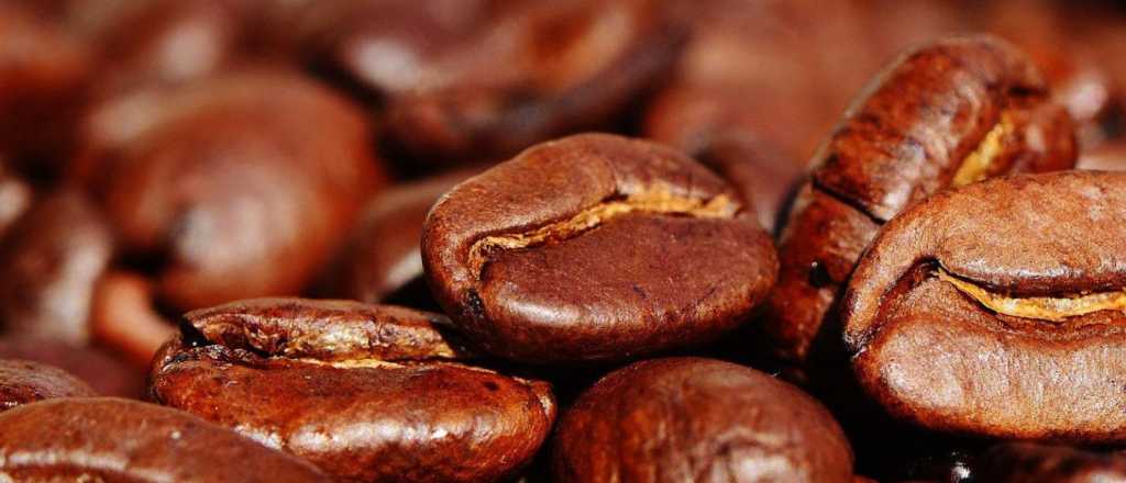 El significado del color marrón en psicología - Mendoza Post