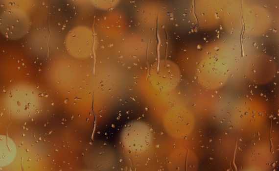 El significado del color marrón en psicología - Mendoza Post