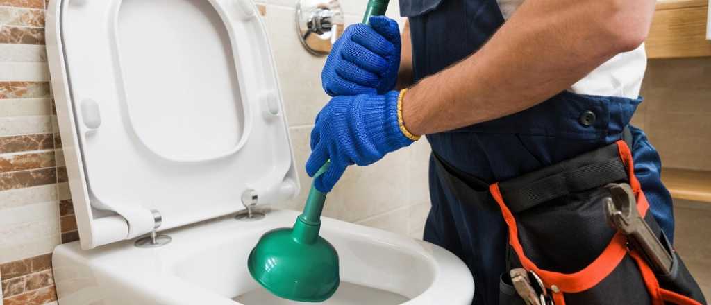 Los mejores trucos para DESTAPAR EL INODORO - Mendoza Post