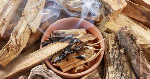 Para qué sirve quemar el palo santo - Mendoza Post