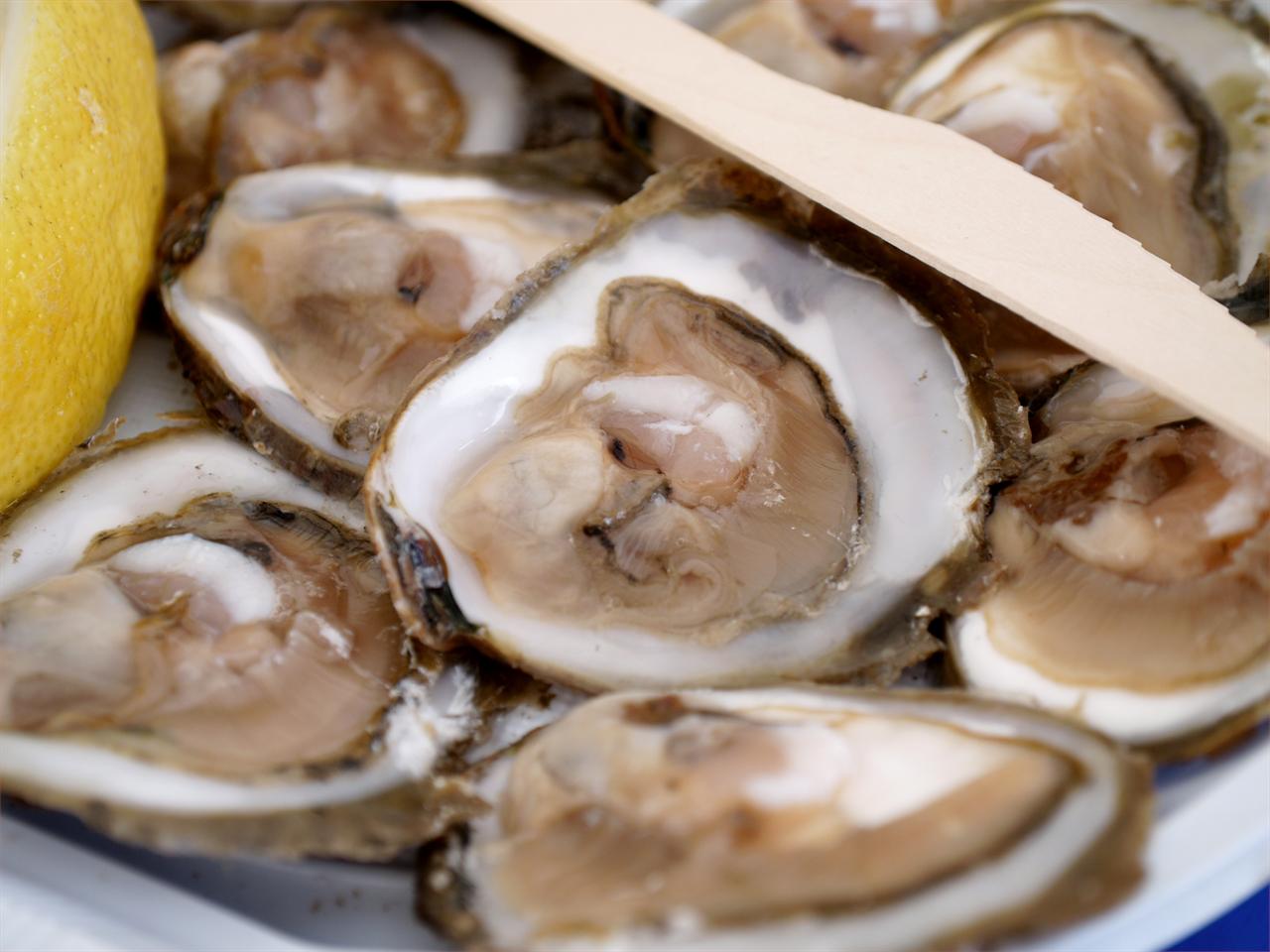 ¿Por qué es tan complicado abrir una ostra? - Mendoza Post