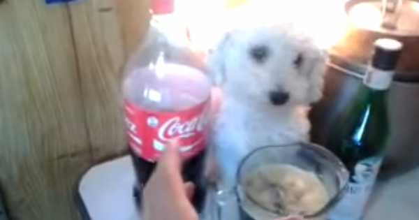 ¡El fernet se comparte amigo...! - Mendoza Post