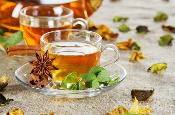 Las diferencias entre infusión, té y tisana - Mendoza Post
