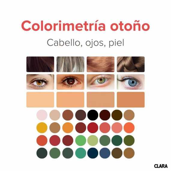 Descubre tu paleta de colores perfecta: cómo encontrar tu colorimetría ...