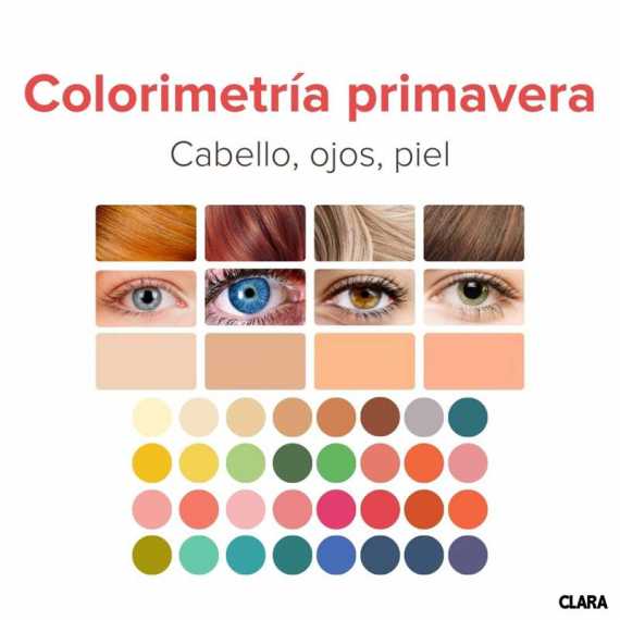 Descubre tu paleta de colores perfecta: cómo encontrar tu colorimetría ...