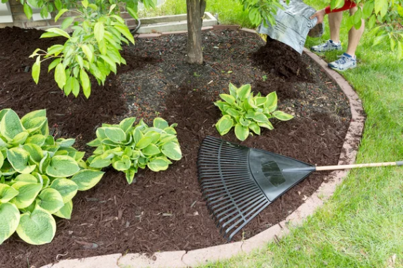 El mantillo: conocé sus tipos, usos y beneficios en jardinería ...