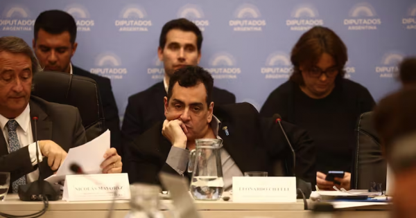 Sin deliberación de calidad siguen pidiendo un chancho gordo que pese ...