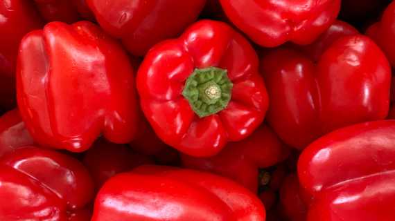 ¿Cuál es más saludable, el morrón rojo o el verde? ¿En qué se ...