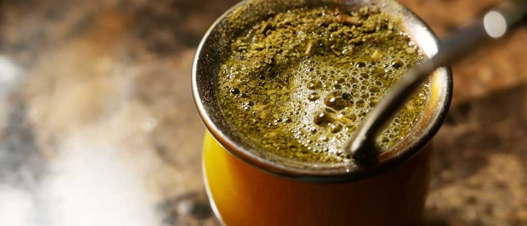 CÓMO CURAR UN MATE: los consejos varían según el material - Mendoza Post