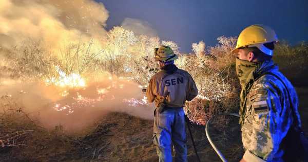 Más de 80 mil hectáreas afectadas por incendios forestales en Paraguay ...