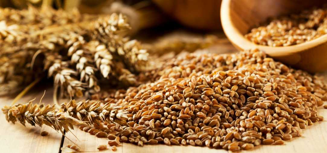 Sabelo: consumir granos integrales alarga tu vida - Mendoza Post