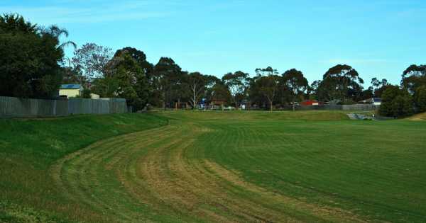 Pasto recién cortado: ¿A qué se debe su aroma? - Mendoza Post