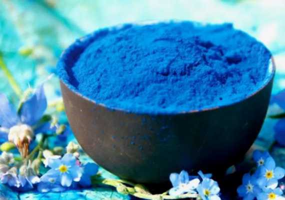 ¿Qué son los alimentos "azules" y por qué son tan raros en la ...