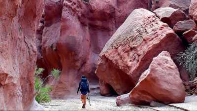 ASTROLOGÍA: ¿qué signos del zodiaco son Alfa, Omega y Beta? - Mendoza Post