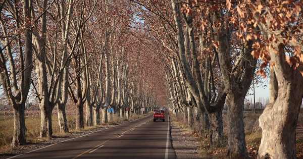 La primera ruta nacional que intervendrá la provincia está en el Sur ...