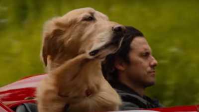 "CAERÁS", de que se trata la PELÍCULA alemana de NETFLIX - Mendoza Post