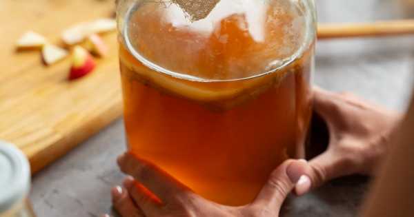 Hacé tu propia KOMBUCHA en casa y mejorá la DIGESTIÓN con esta receta - Mendoza Post