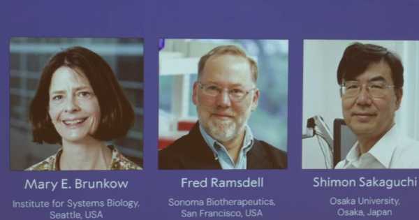 Tres científicos fueron distinguidos con el Premio Nobel de Medicina 2025 - Mendoza Post