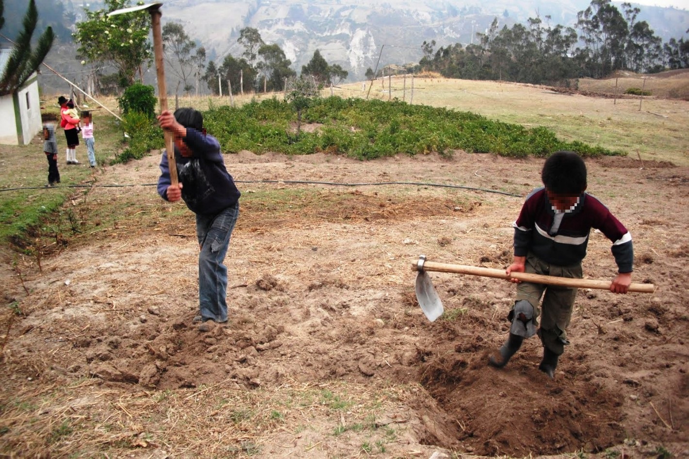 Explotación laboral: después del operativo ¿quién se hace cargo ...