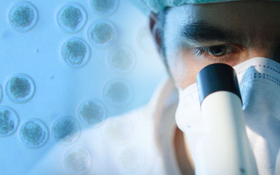 Qué es el intersticio, el nuevo órgano que acaban de descubrir en el ...